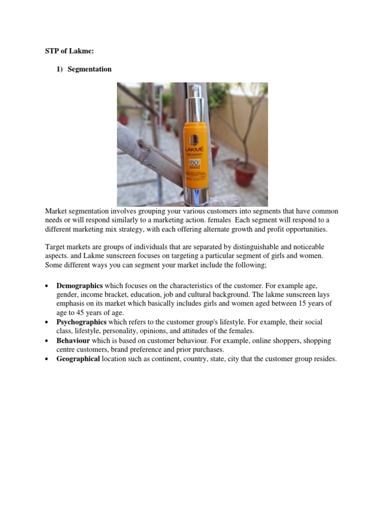 Lakme STP | PDF | Market Segmentation | Business Economics