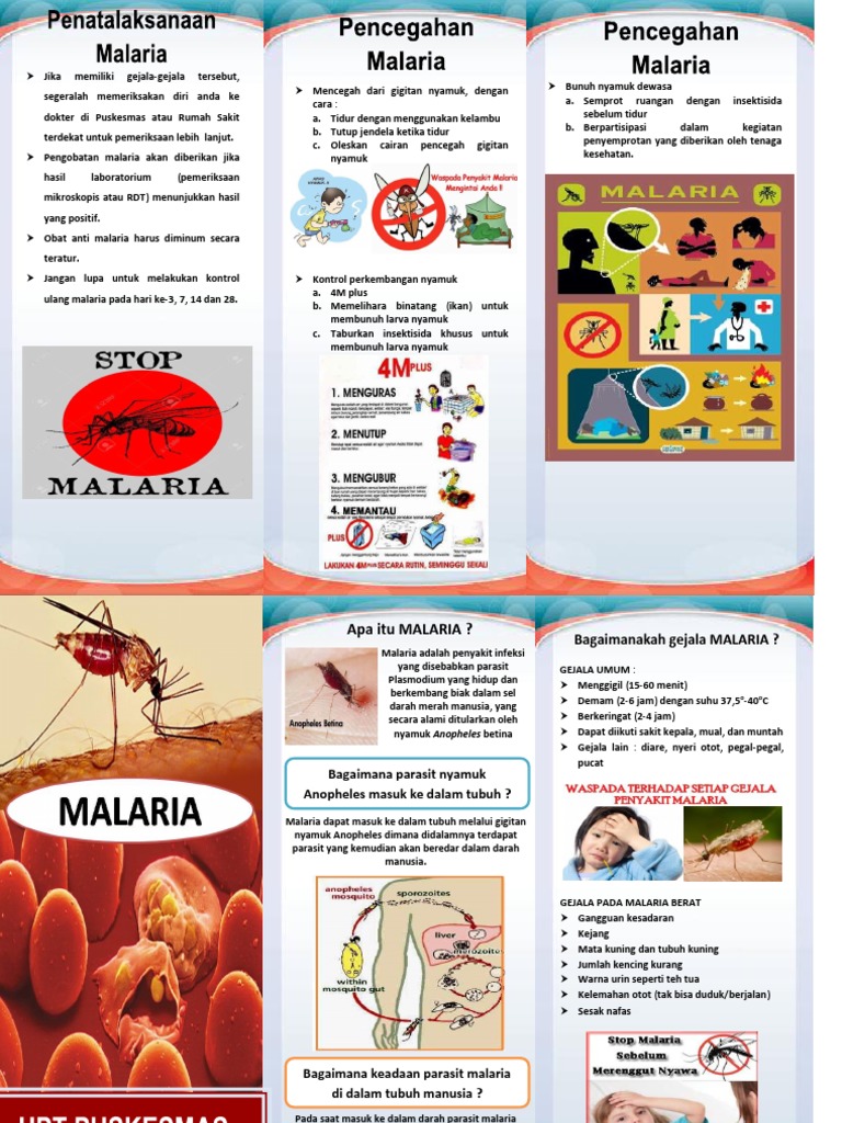 Leaflet Malaria 2020 | PDF