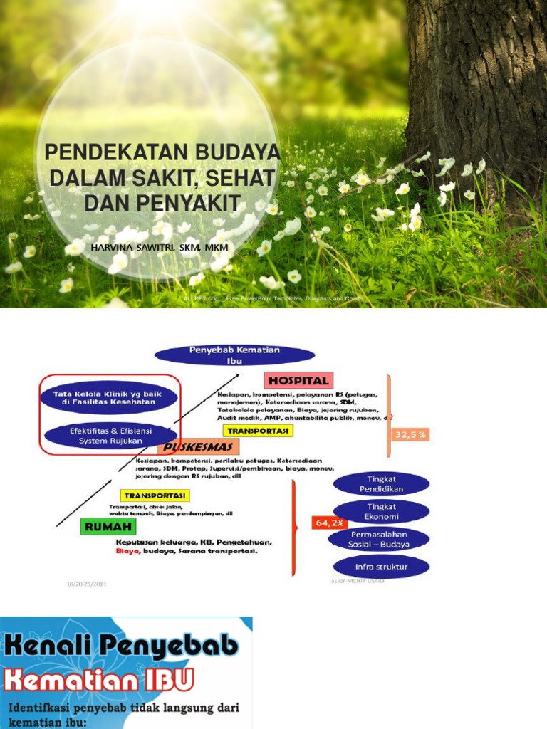 Budaya dan Kesehatan: Sebuah Pendekatan | PDF | Pengembangan Diri ...