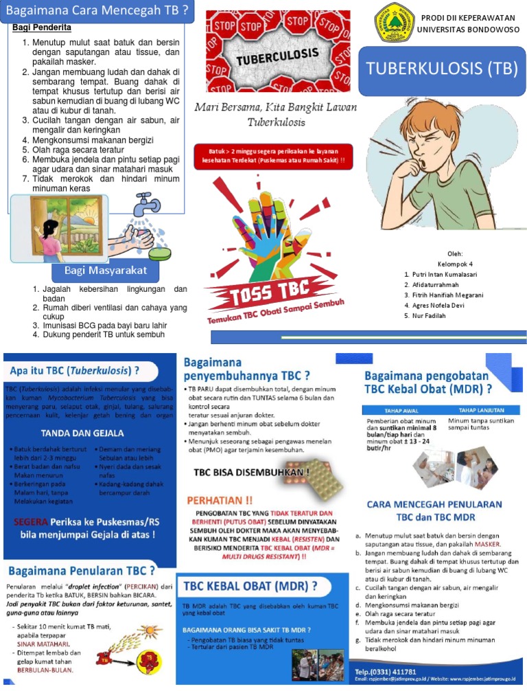 Leaflet TB | PDF