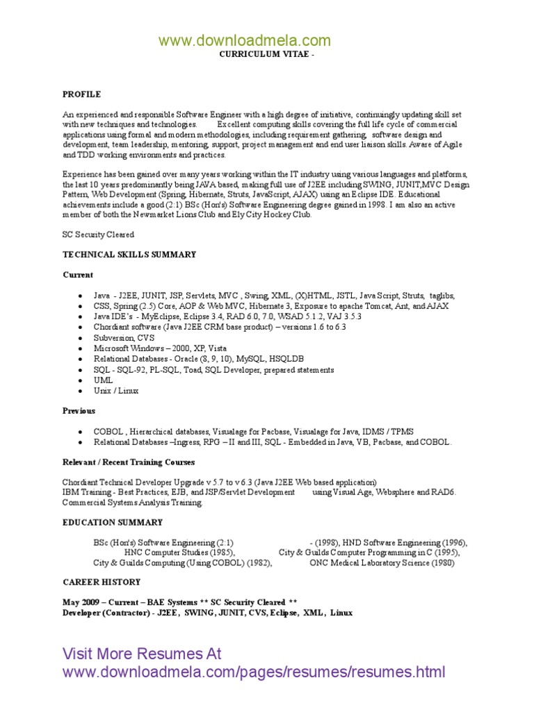 A Comprehensive Curriculum Vitae Highlighting a Diverse Career in Software Engineering and ...