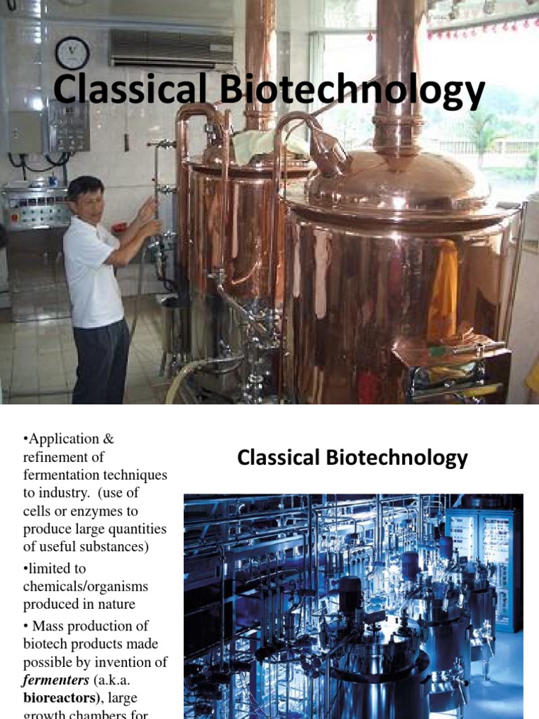 Classical Biotechnology | PDF | Fermentation | Yeast