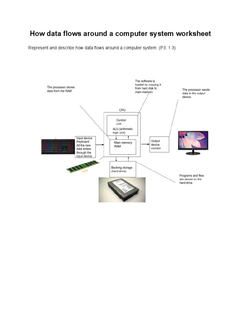 Data Flow in Computer Systems Worksheet | PDF | Computers