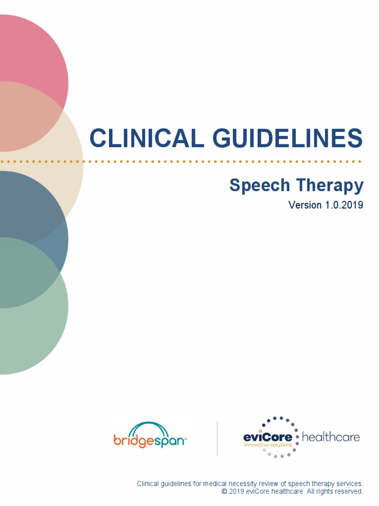 BridgeSpan Speech Services Guidelines - V102019 - Eff03012019 ...
