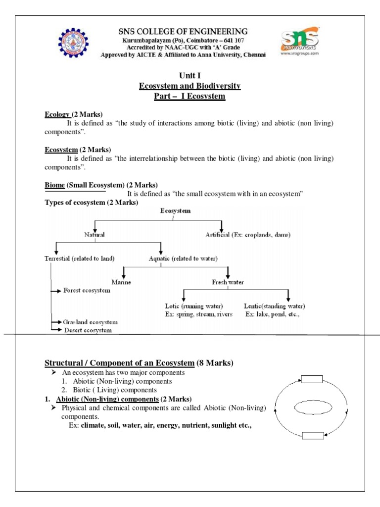 Ecosystem Structure and Functions Explained | PDF | Ecosystem | Ecology