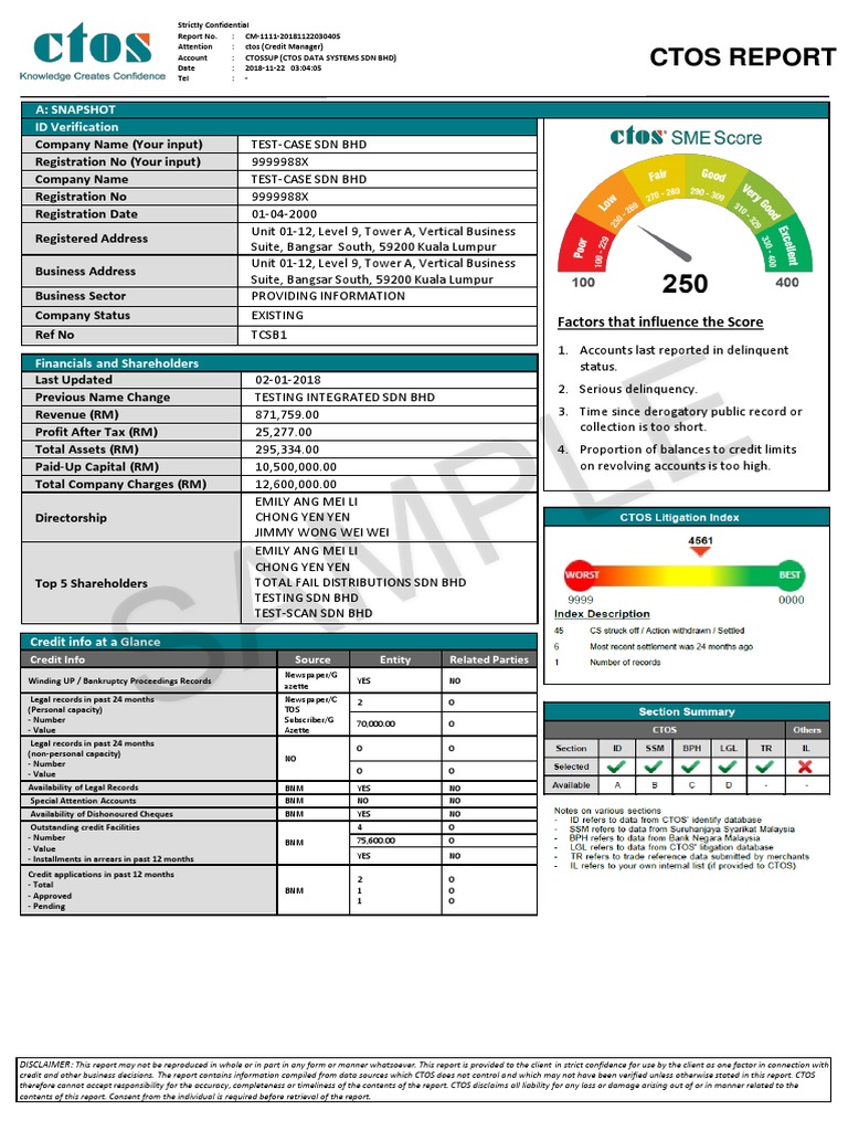 CTOS Score Report for TEST-CASE SDN BHD | PDF | Dividend | Credit Card