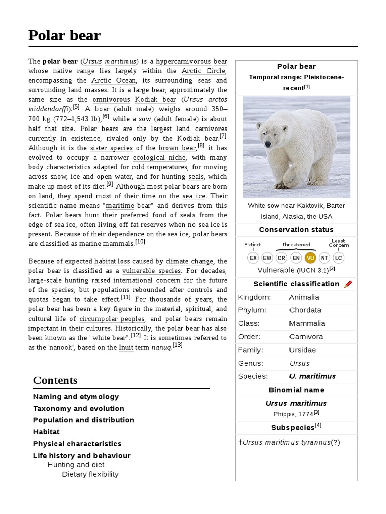 Polar Bear | PDF | Polar Bear | Bears