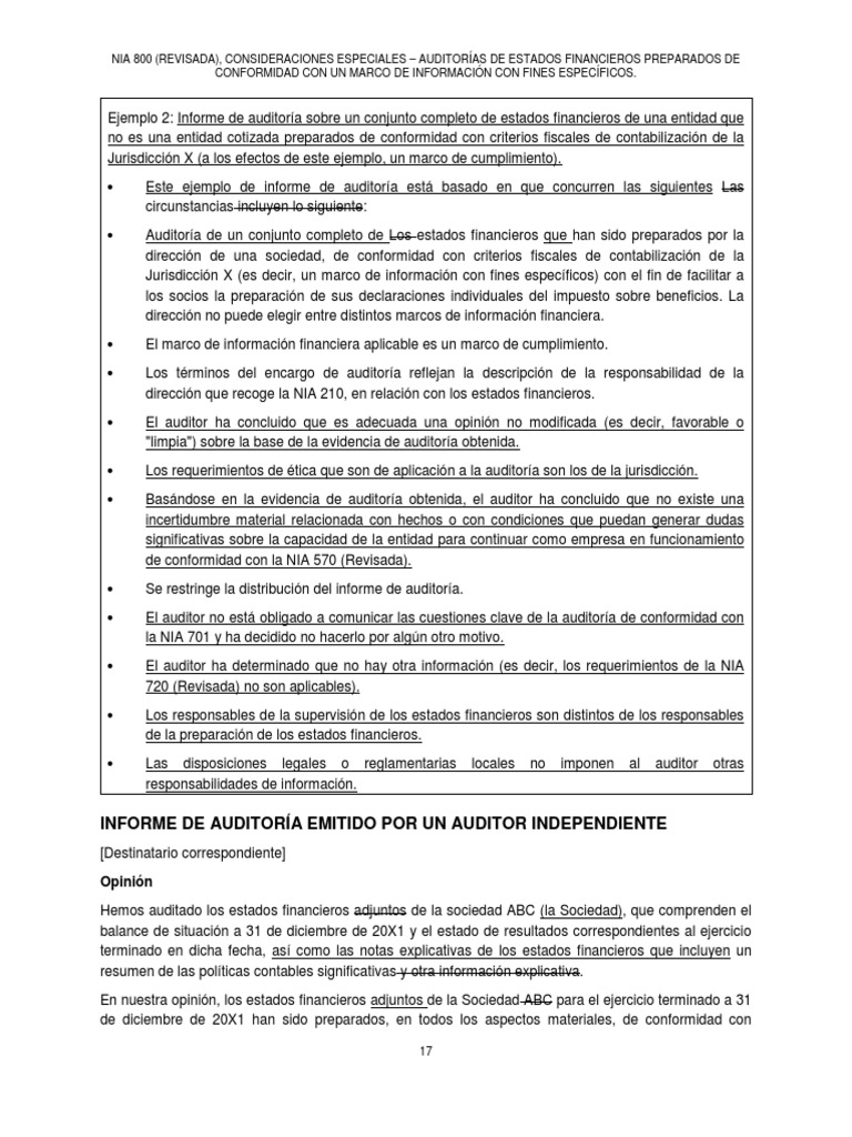 EJEMPLO INFORME NIA 800 | Auditoría | Contralor