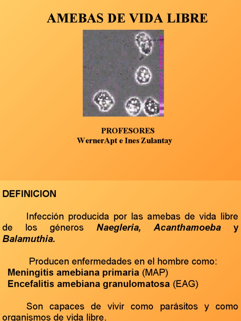 Amebas de Vida Libre | PDF | Especialidades Medicas | Piscina