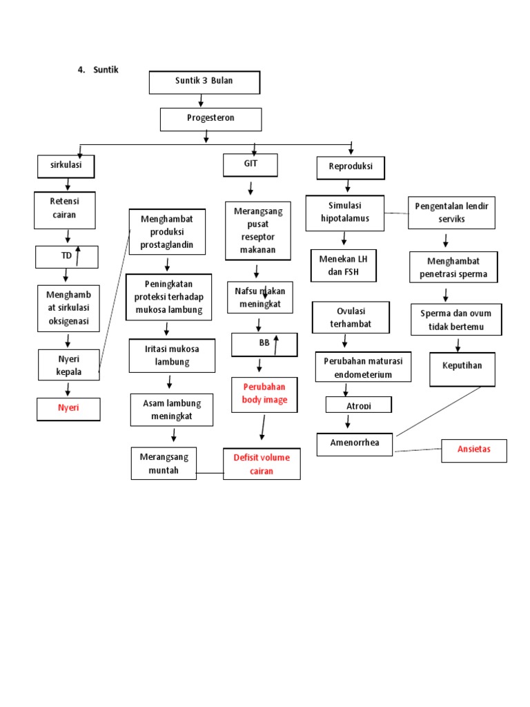 Pathway KB Suntik | PDF