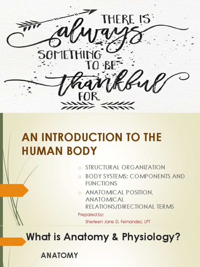 An Introduction To The Human Body | PDF | Human Body | Anatomical Terms ...