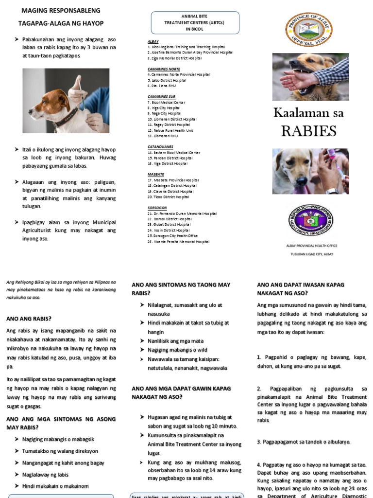 Rabies Flyers | PDF