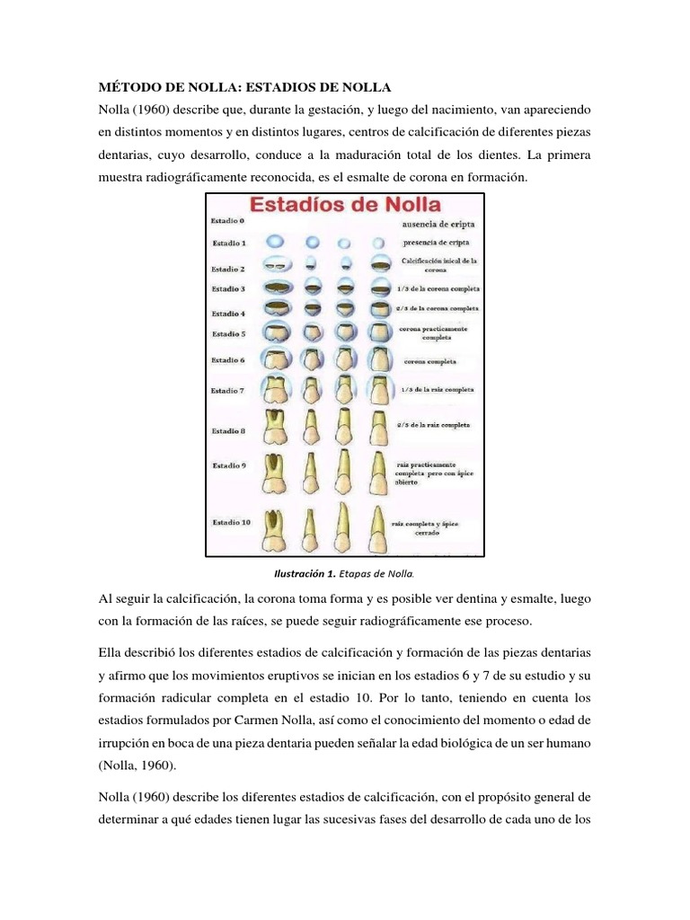 Método de Nolla | PDF | Diente | Esmalte de dientes
