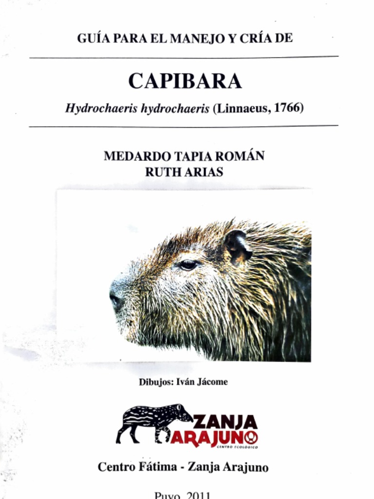 Capibara | PDF