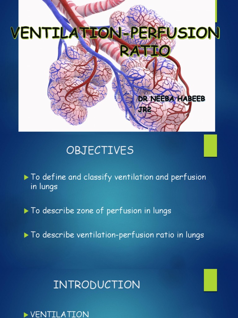 Understanding Ventilation-Perfusion Ratio | PDF | Lung | Respiratory System