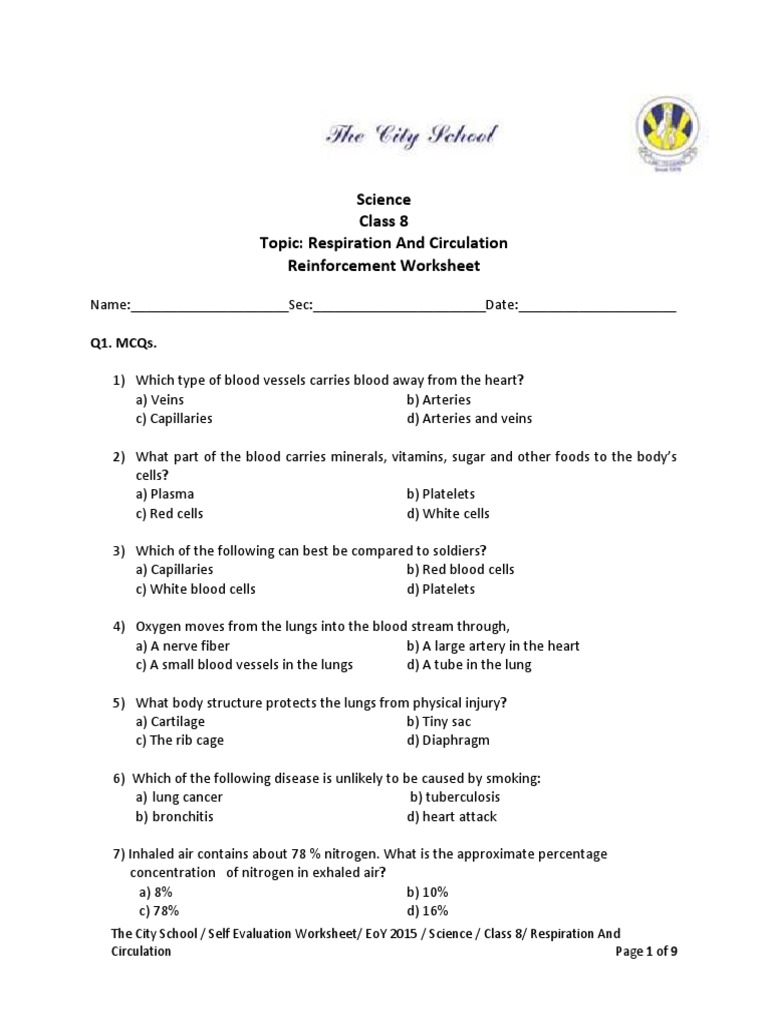 Year 8 Respiration and Circulation Worksheet | PDF | Respiratory System ...