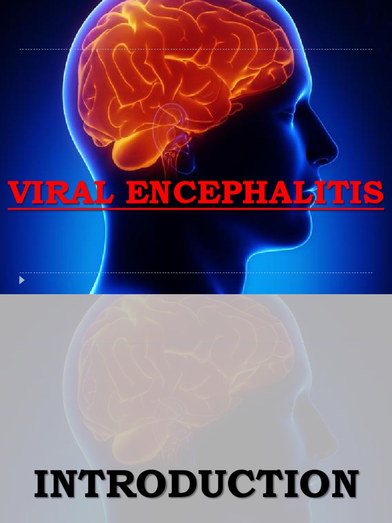 Encephalitis Case Study | PDF | Brainstem | Central Nervous System