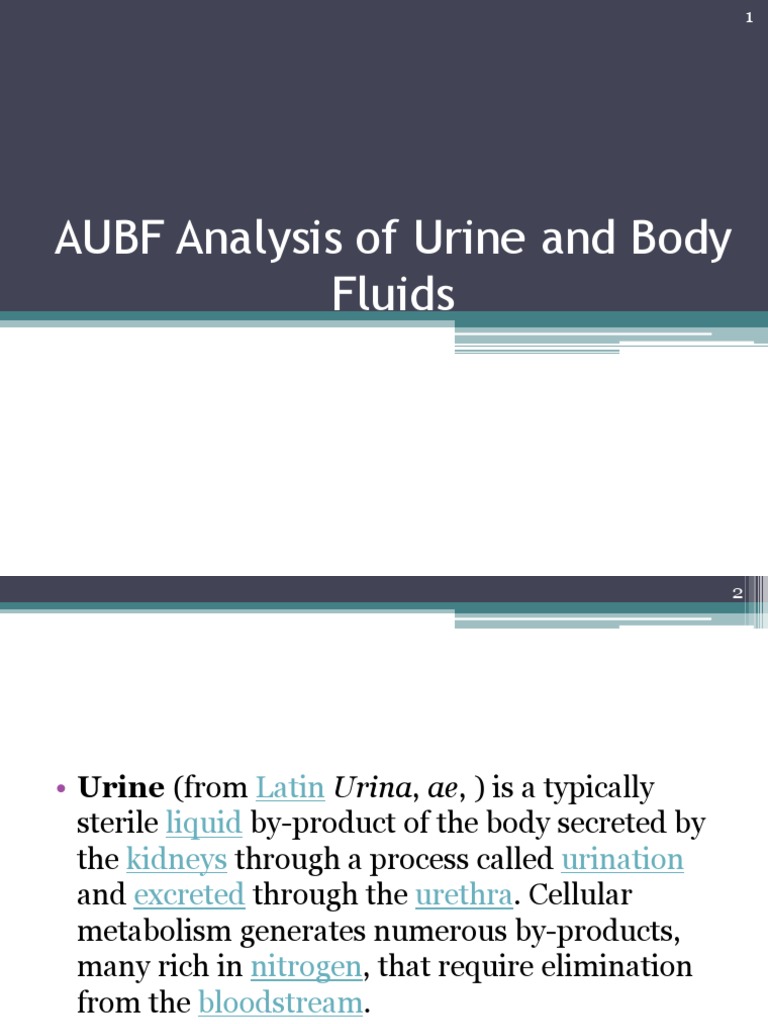 AUBF Analysis of Urine and Body Fluids | PDF | Urine | Kidney