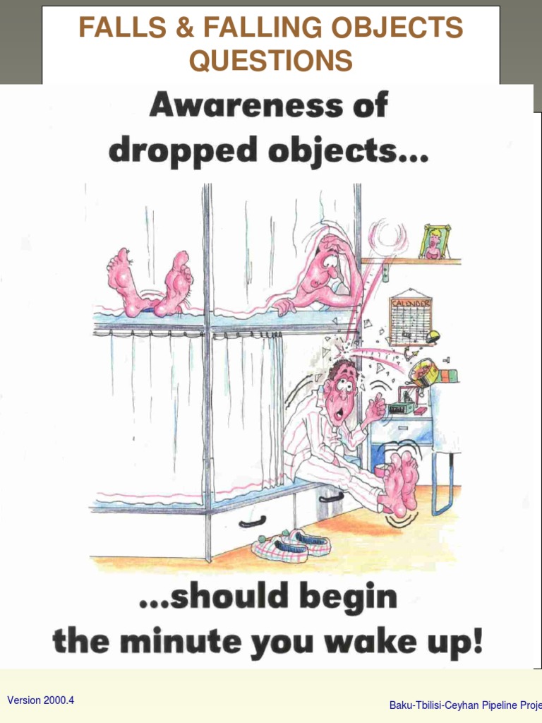 Falls and Falling Objects Safety Guide | PDF | Safety | Personal ...