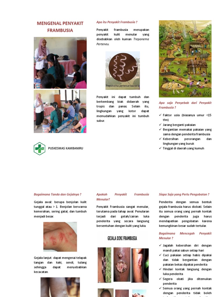 Panduan Lengkap Penyakit Frambusia | PDF