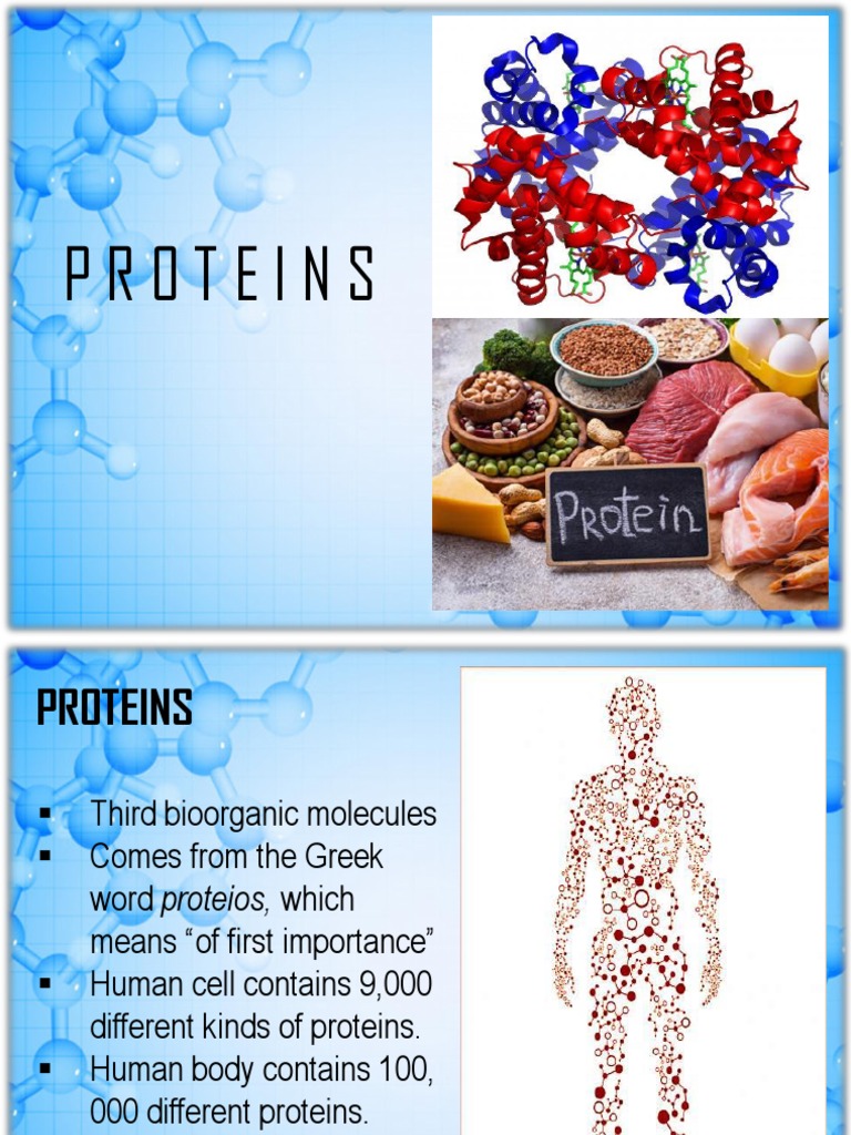 PROTEINS Introduction | PDF | Amino Acid | Proteins