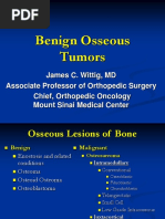 9 Types of Sequestrum | PDF