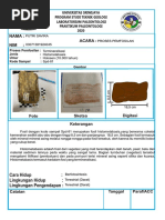 Foliasi and Non Foliasi | PDF