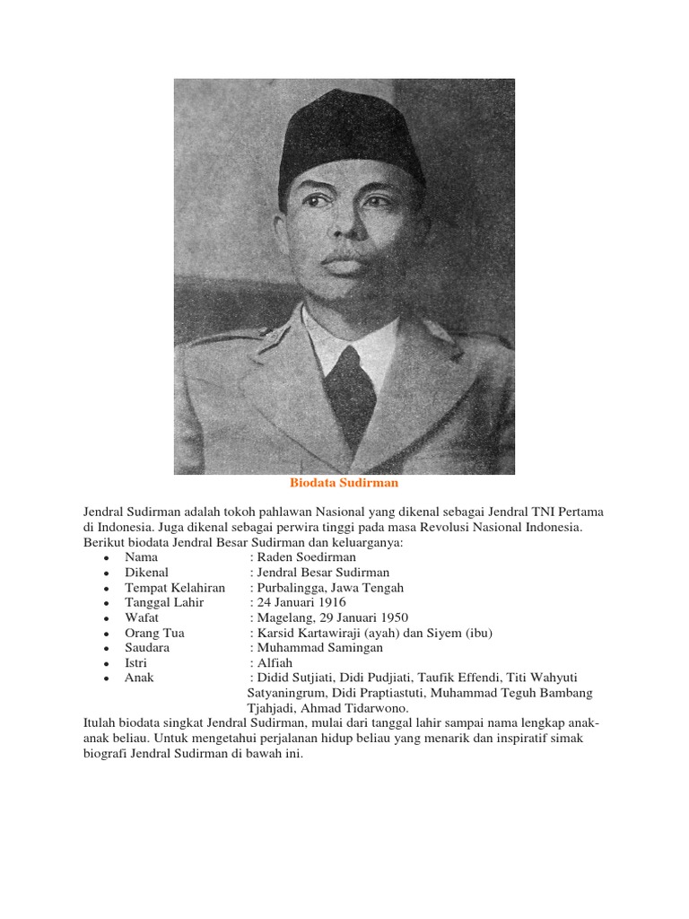 Biodata Sudirman | PDF | Politik | Perjalanan
