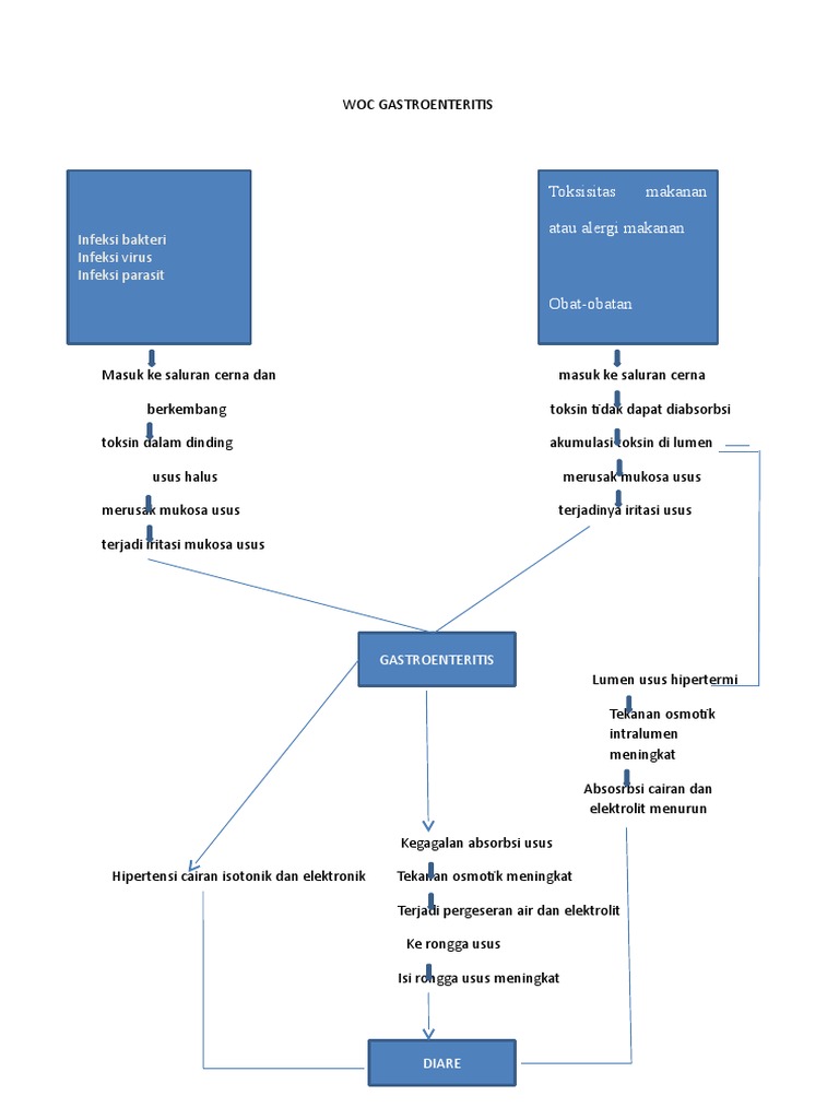 Woc Gastroenteritis | PDF