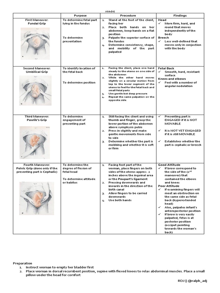 OB - Leopold's Maneuver | PDF | Anatomical Terms Of Motion | Uterus