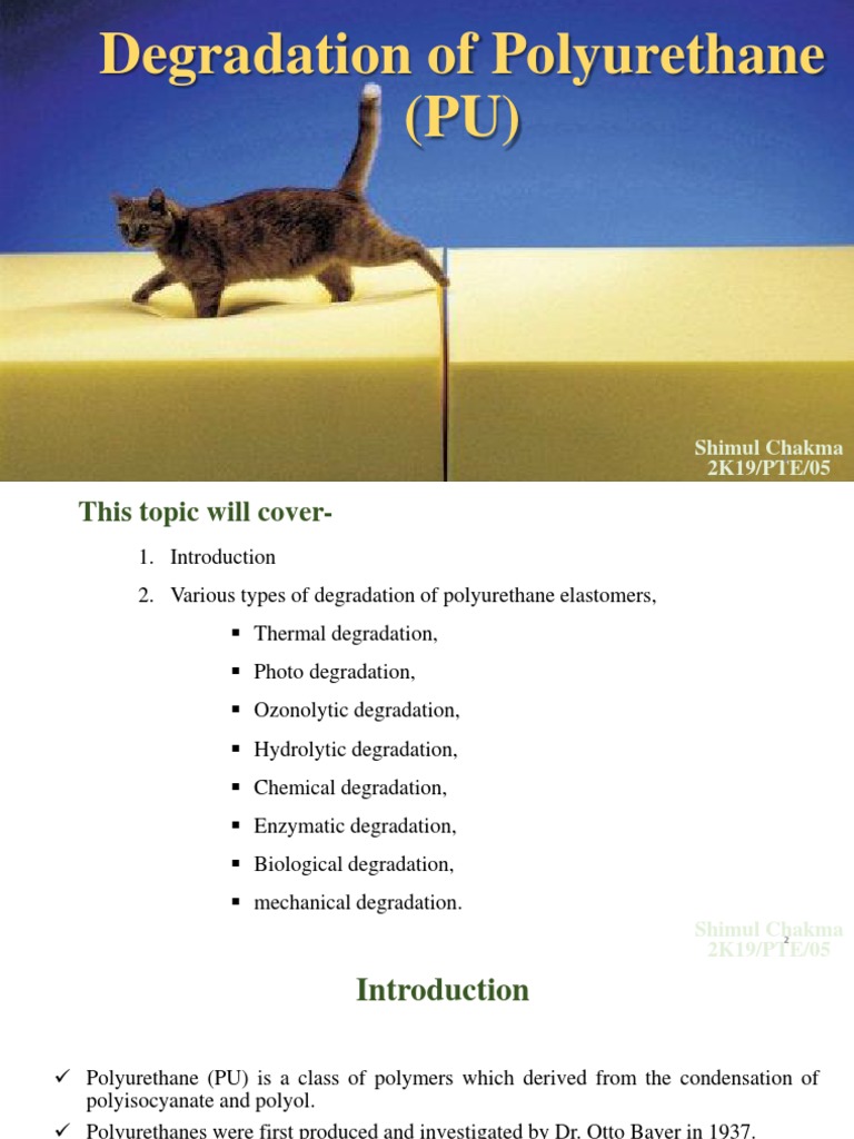Degradation of Polyurethane | PDF | Polyurethane | Biodegradation