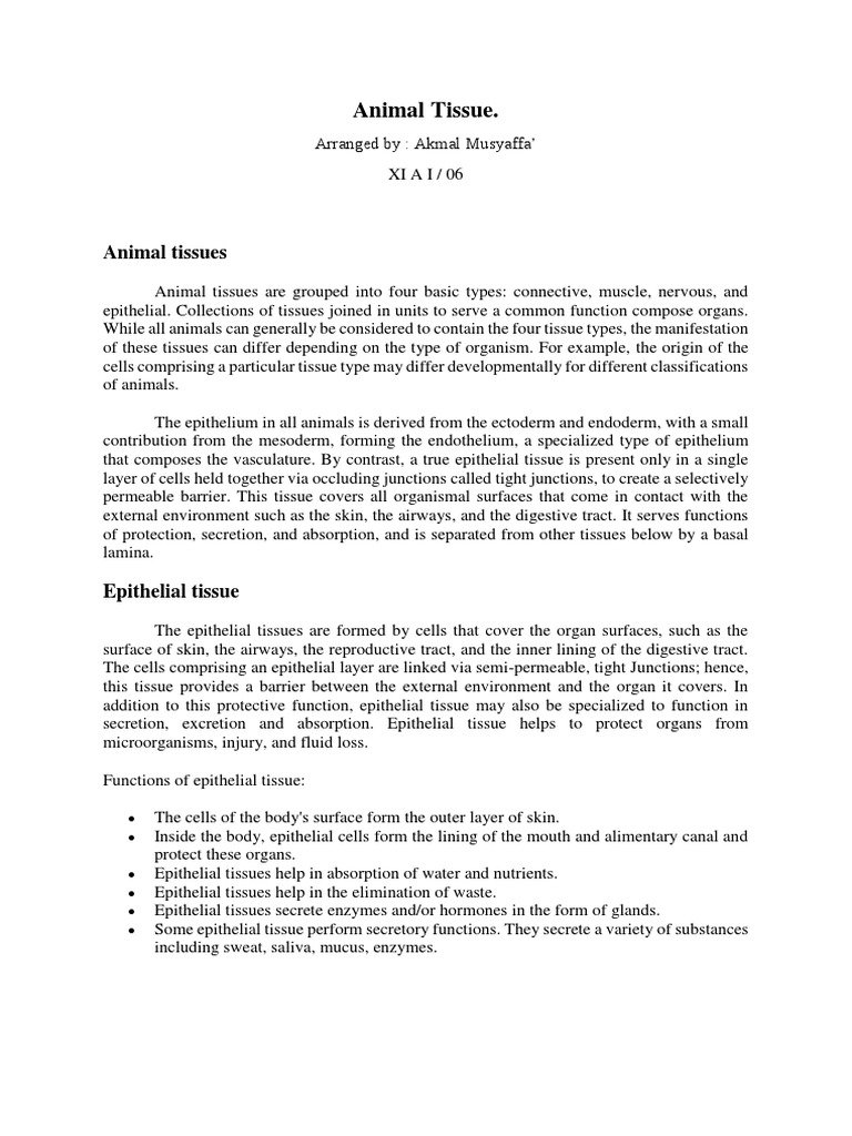 Animal Tissue | PDF | Epithelium | Tissue (Biology)