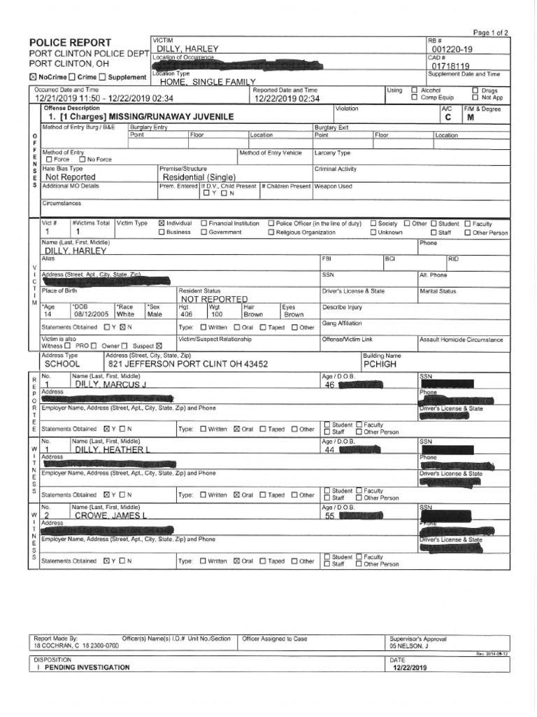 Missing Persons Report For Harley Dilly | PDF