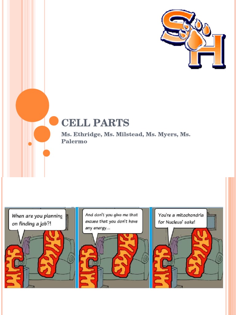 Cell Parts | PDF | Cell Nucleus | Cell (Biology)