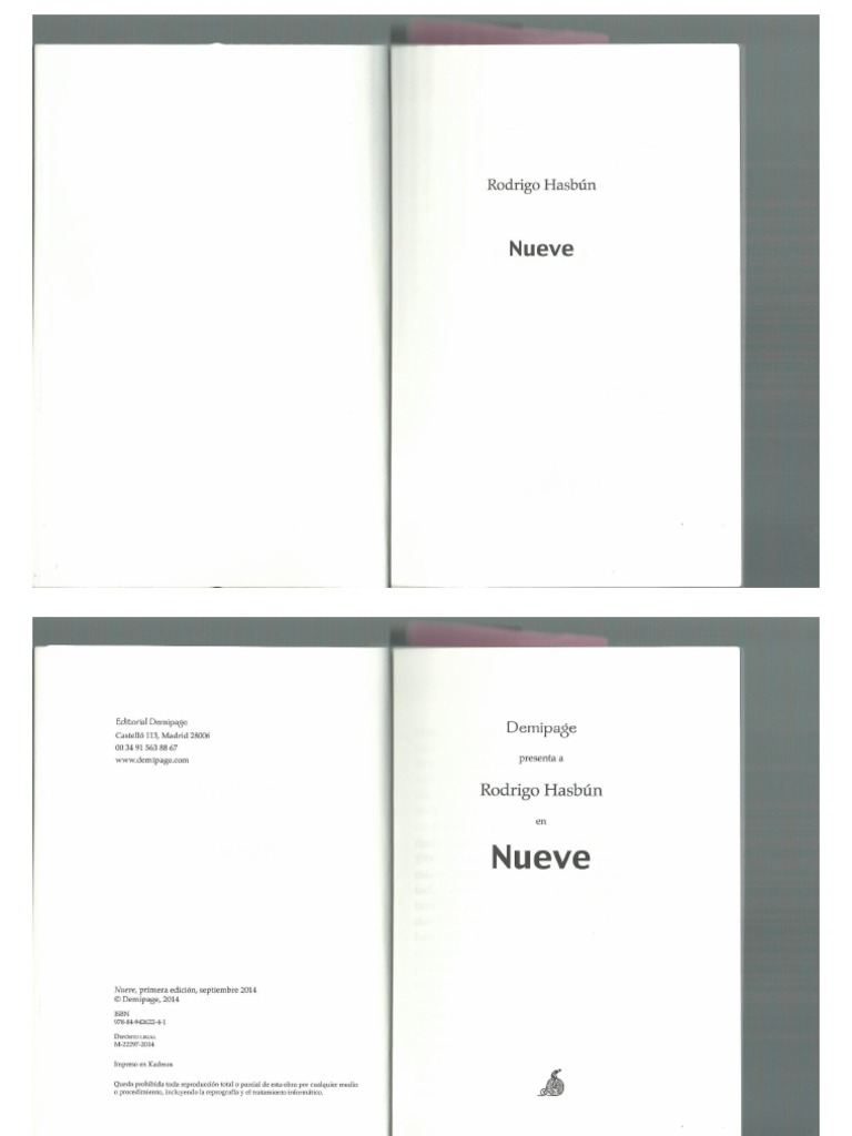 Rodrigo Hasbún - Nueve | PDF