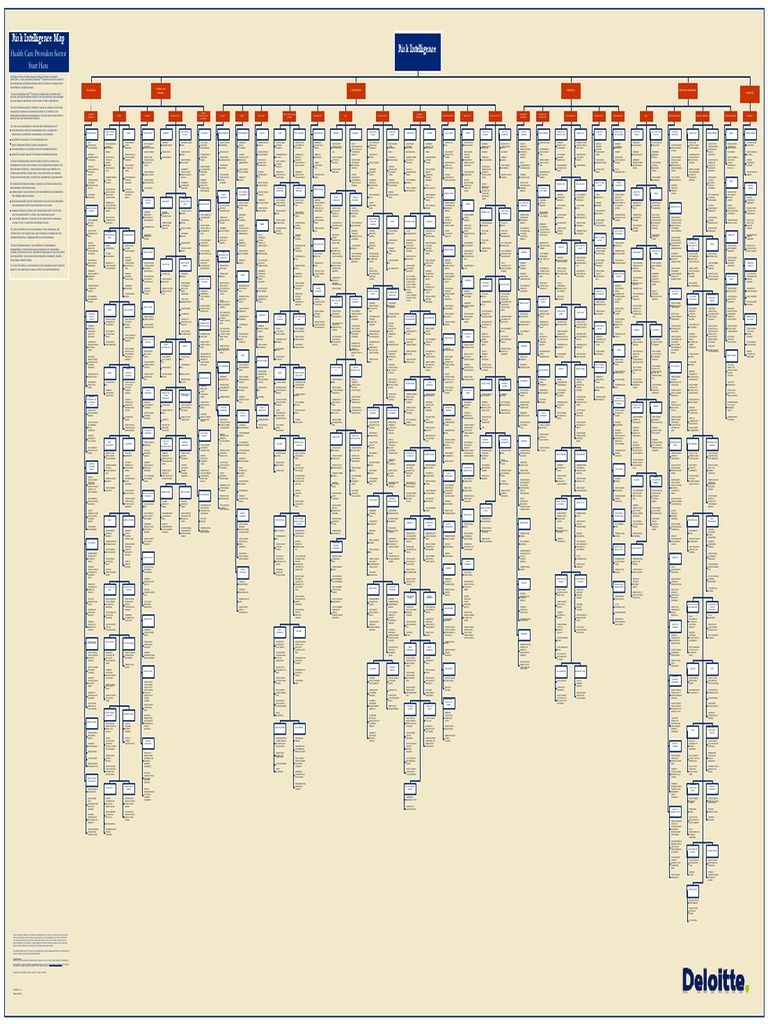 Risk Intelligence Map Health Care Providers PDF | PDF | Risk Management ...