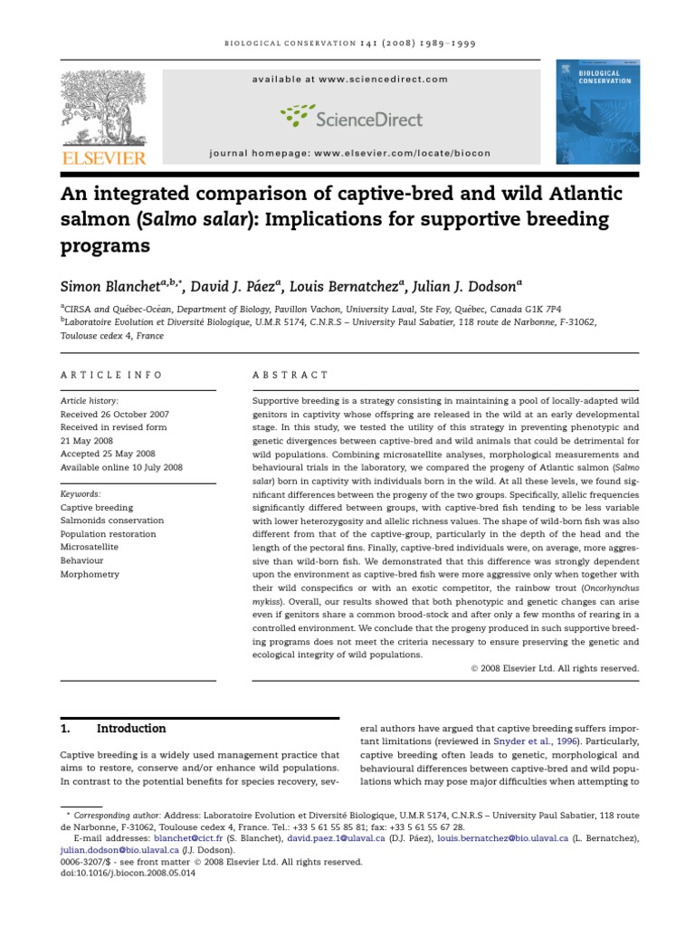 An Integrated Comparison of Captive-Bred and Wild Atlantic Salmon ...