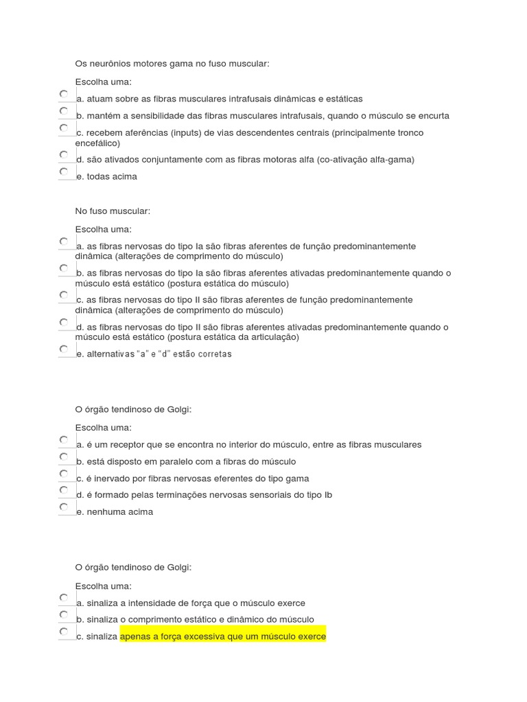 Os Neurônios Motores Gama No Fuso Muscular | PDF | Neurônio motor | Músculo