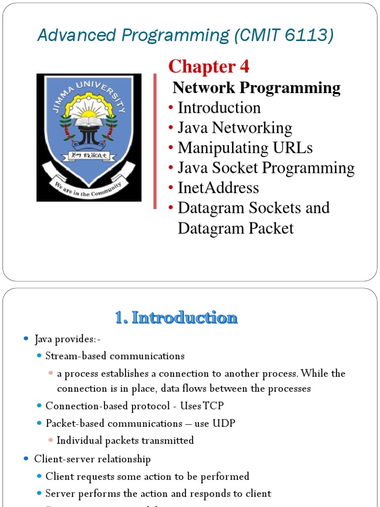 Chapter 4 - Network Programming | Download Free PDF | Port (Computer Networking) | Network Socket