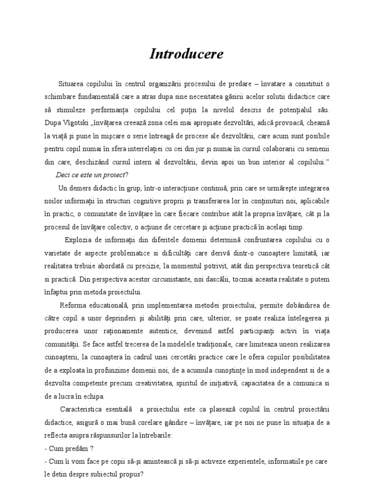 Inv Bazata Pe Proiecte | PDF