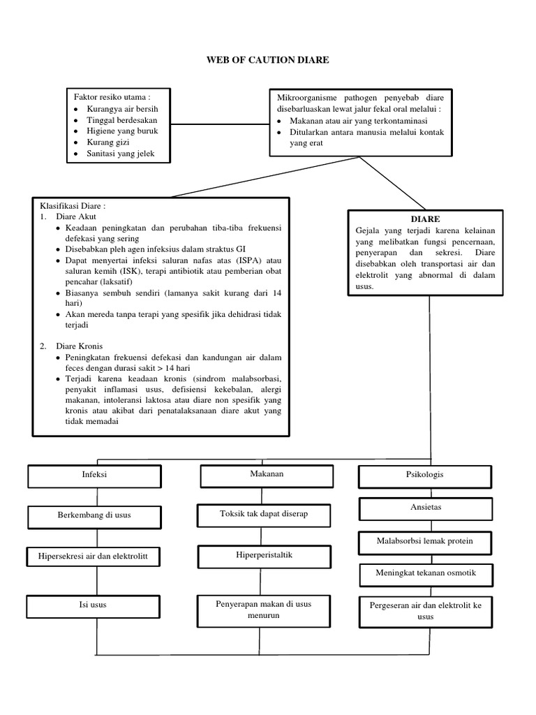 Web of Caution Diare | PDF