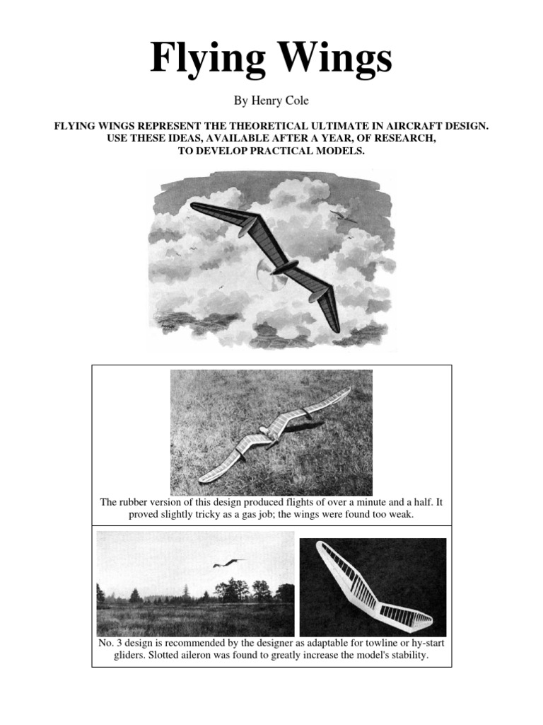 Tailless | Flight | Glider (Sailplane)