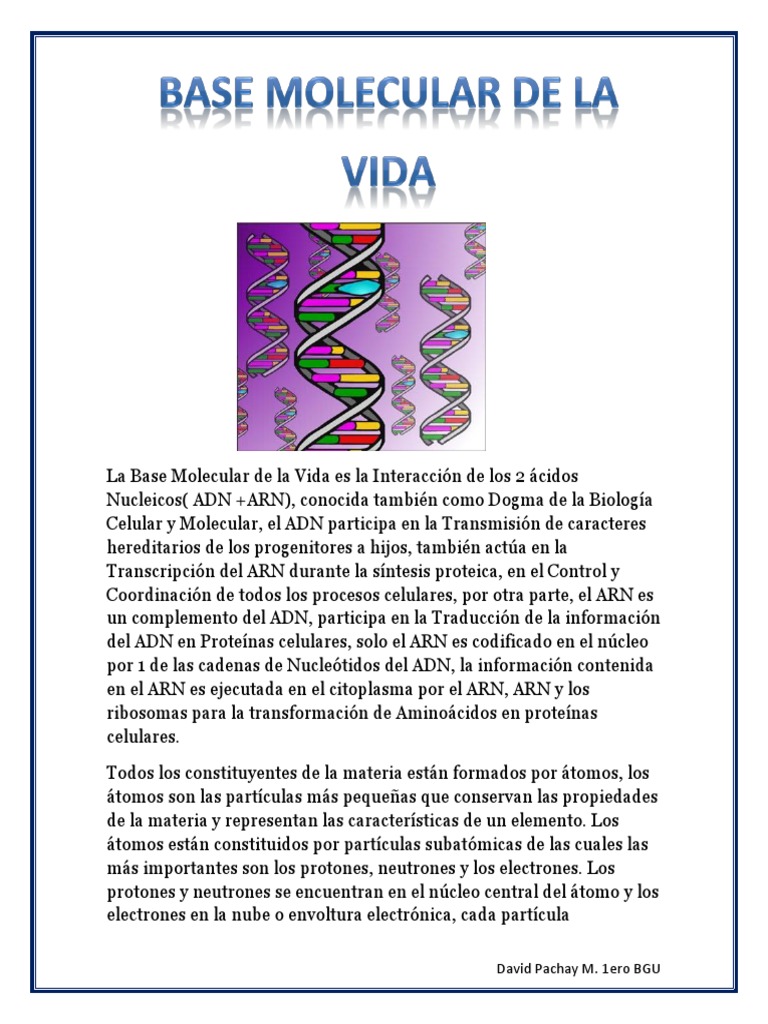 La Base Molecular de La Vida | PDF | Adn | Rna