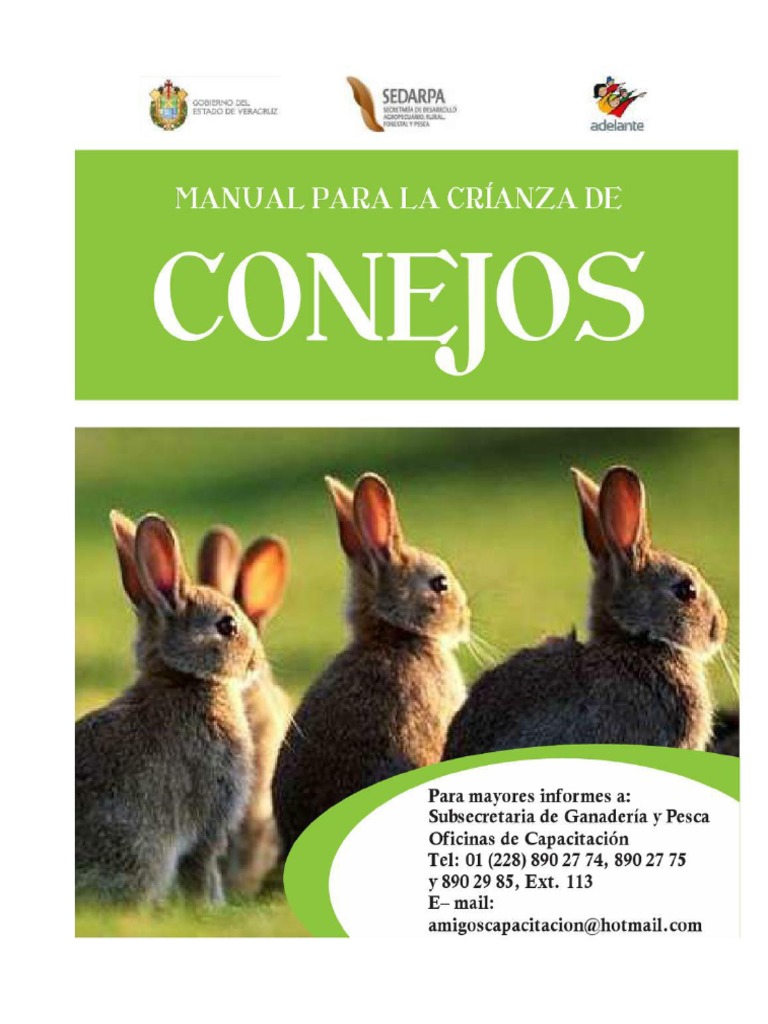 Manual Para La Crianza De Conejos Pdf Pdf
