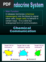 Science: Quarter 4 - Module 2: Biomolecules | PDF | Polysaccharide | Dna