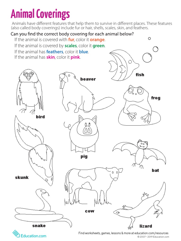 Animals With Shell Body Covering