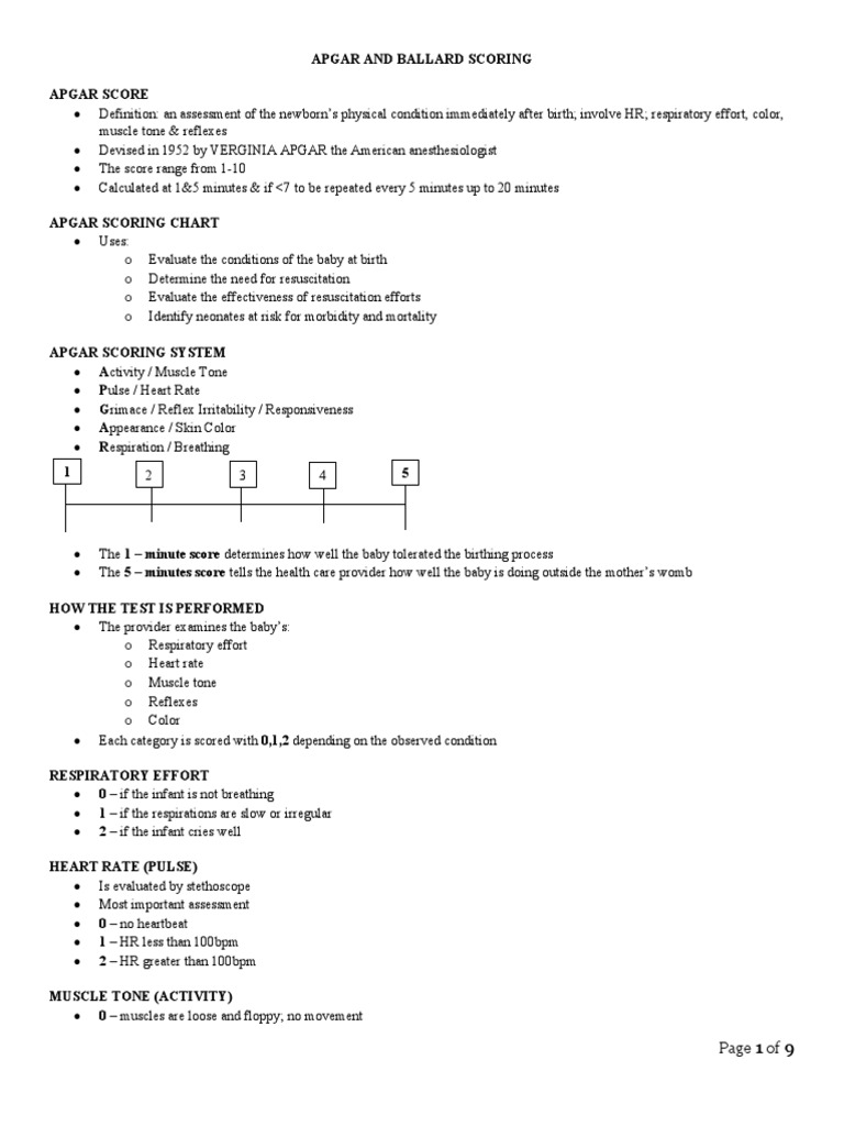 Newborn - APGAR SCORE | PDF | Anatomical Terms Of Motion | Labia