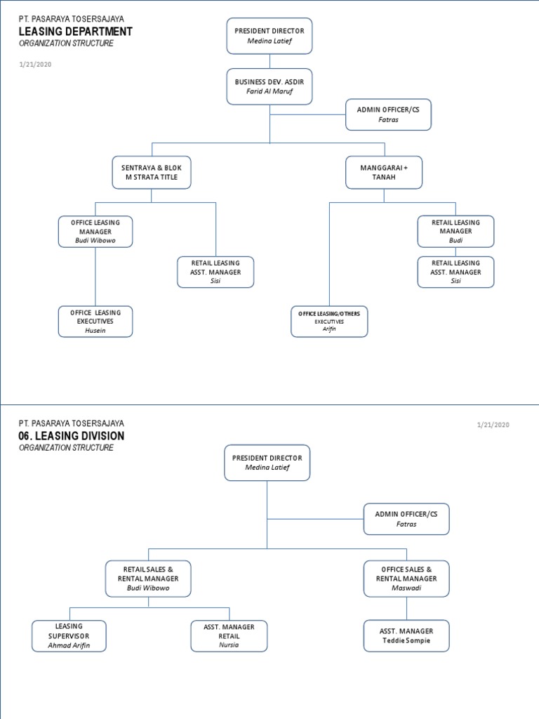 Oranization Structure - Leasing Sample | PDF