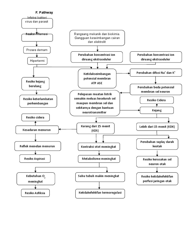 Pathway Kejang Demam | PDF