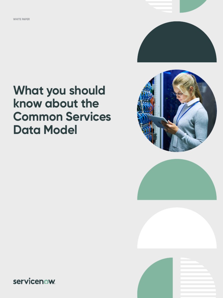 SN WP Common Services Data Model Currentfeb12019 | PDF | Business ...